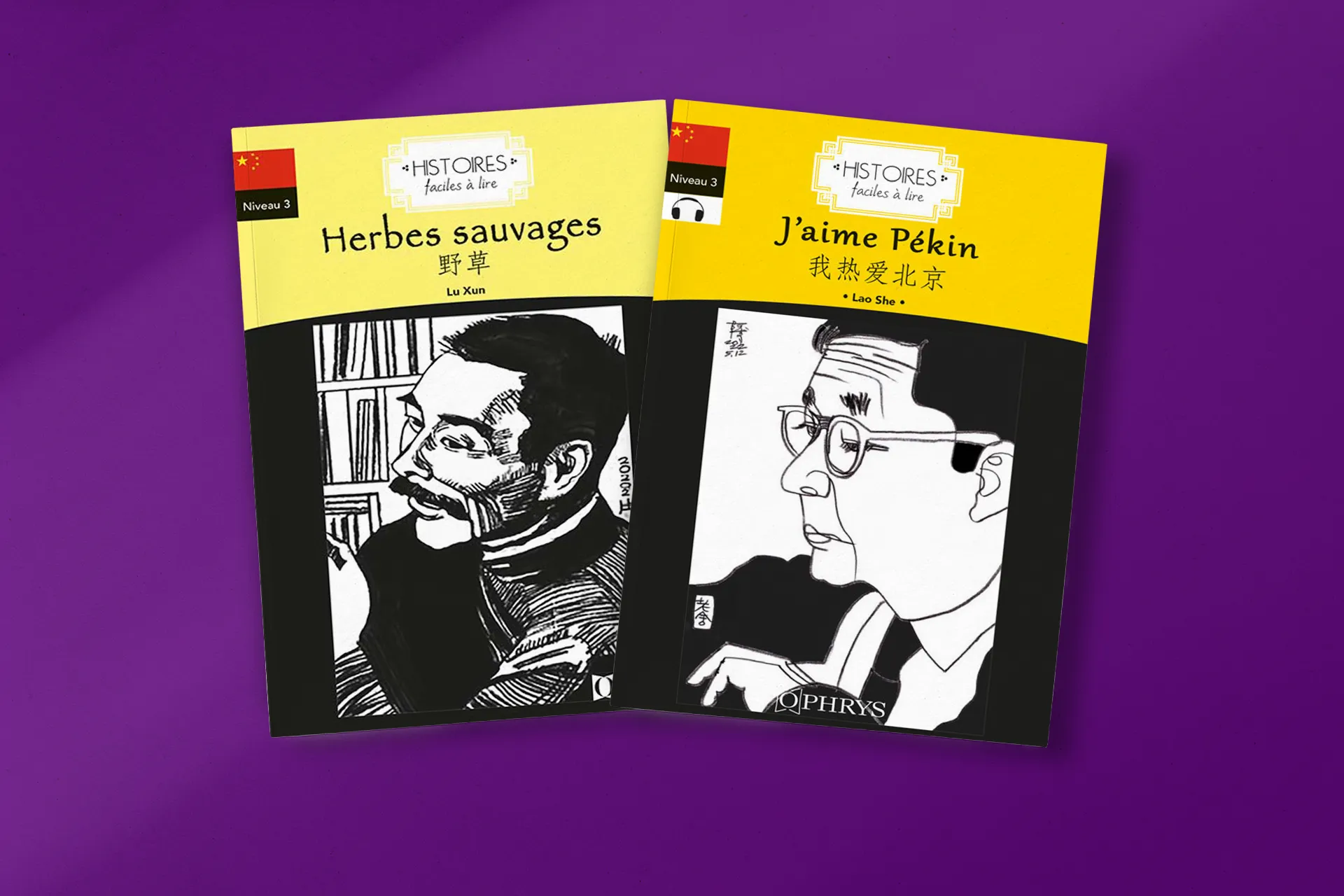 Éditions Ophrys | L'enseignement des langues